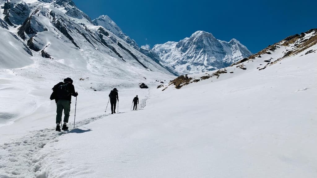 Annapurna Base Camp Trek: ABC Hike 2024/25 Cost & Itinerary